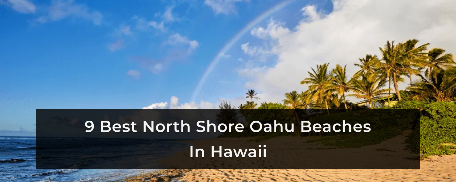 9 Best North Shore Oahu Beaches In Hawaii